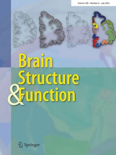 A New 3d Myeloarchitectonic Map Of The Human Neocortex Based On Data From The Vogt Vogt School