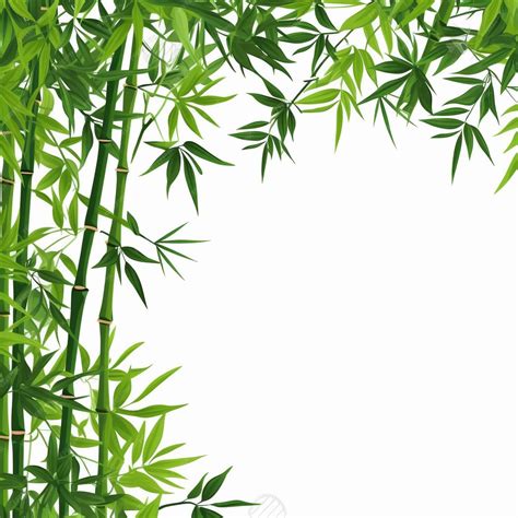 Premium Photo Bamboo Clip Art Illustration