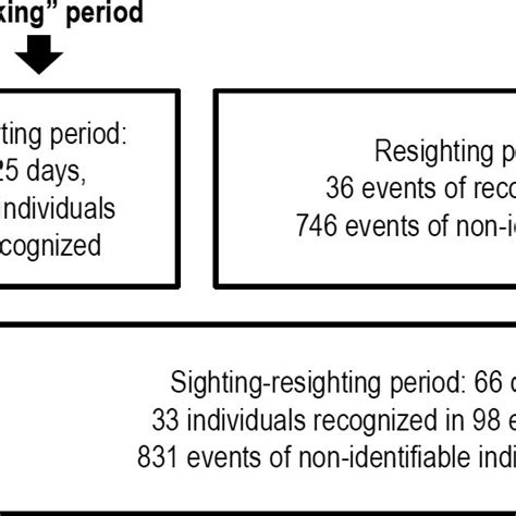 Scheme Of Spatial Mark Resight Models For An Unknown Number Of Marked Download Scientific