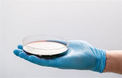 Bacteriological Agar Top E406 Agar For Bacteriology