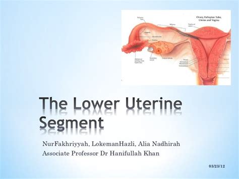Lower Uterine Segment