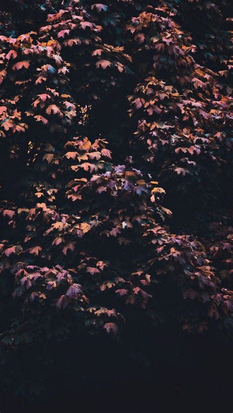 Aesthetic Iphone X Wallpapers Top Free Aesthetic Iphone X Backgrounds