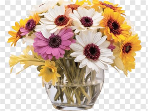 Mulit Colored Daisy Flower With Vase Daisy Flower Colorfull Daisy