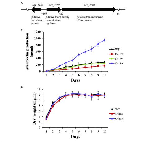 Effects Of Sav4189 On Avermectin Production And Growth In