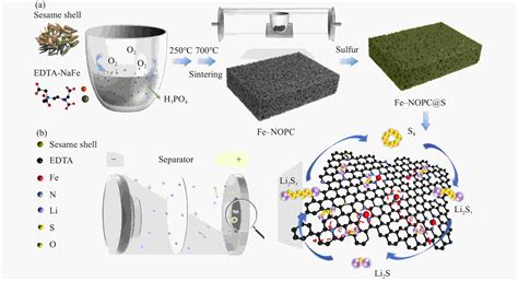Improving The Electrocatalytic Activity Of Fe N Co Doped Biochar For