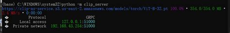 when excuting python m clip server the public address doesnt appear