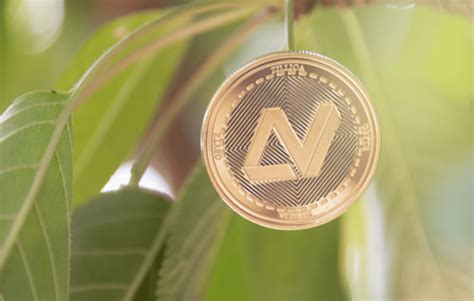 zilliqa revolutionizing scalability via sharding