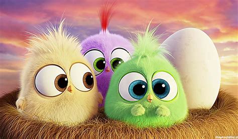 36 عکس از جوجه رنگی بامزه که قلب‌ها را می‌رباید