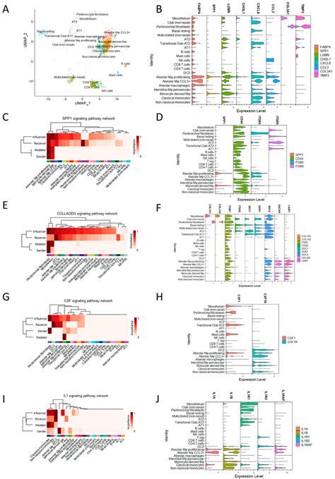 A Reference Based Comparison Of Cell Types Isolated From Hp Explant