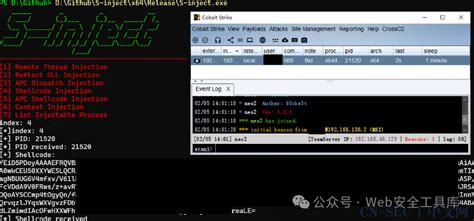 Dllshellcode的windows注入免杀工具 Cn Sec 中文网