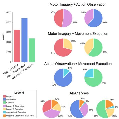Pdf Neural Correlates Of Motor Imagery Action Observation And