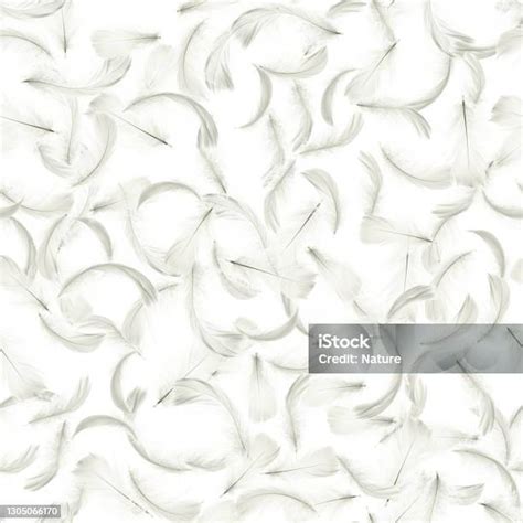 깃털 배너 파스텔 천사 깃털은 흰색 배경에 떨어지는 매끄러운 패턴 텍스처에 흰색으로 고립 된 매력적인 세련된 통풍이 좋은 예술 이미지 깃털에 대한 스톡 사진 및 기타 이미지