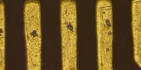 Digital Vs Stereo Microscope Key Differences And How To Choose Mcscope