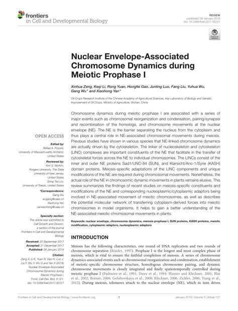 Pdf Nuclear Envelope Associated Chromosome Dynamics During Meiotic