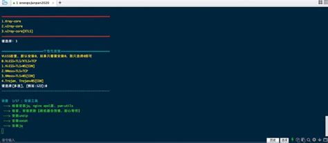 最新科学上网方式Xray安装及客户端使用 爱远眺