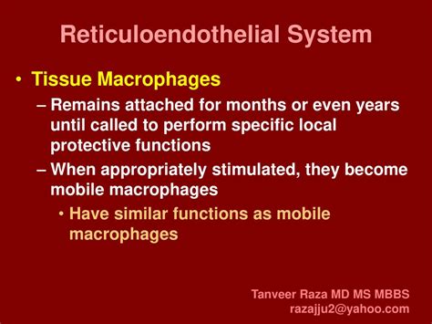 Tanveer Raza Md Ms Mbbs Physiology Lecture 64 Tanveer Raza Md Ms Mbbs