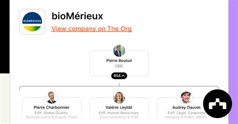 Biomérieux The Org