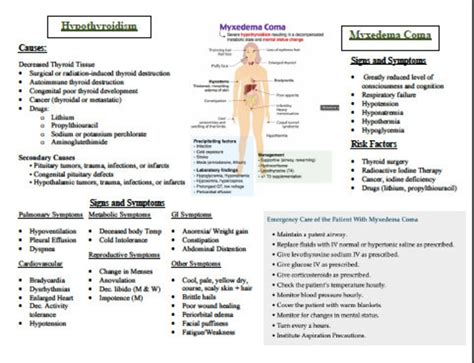 Thyroid Complications Concept Map Etsy