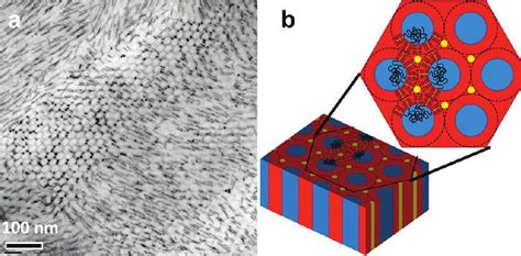 Self Assembling Nanorods Berkeley Lab Researchers Obtain 1 2 And 3d