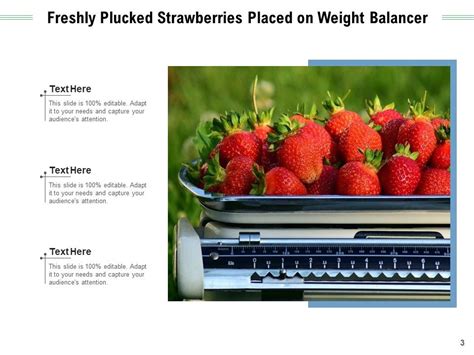 Weight Scale Measurement Measuring Ppt PowerPoint Presentation Complete Deck