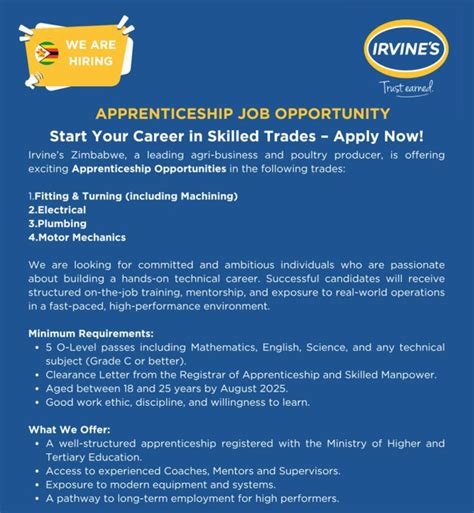 Irvines Zimbabwe Apprenticeship Programs 2025 Intake Various Skilled