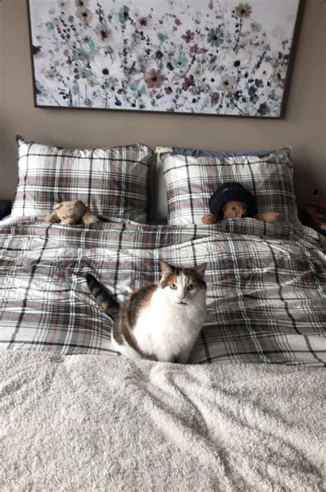 When My Boyfriend Makes The Bed Rcozyplaces