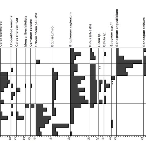 Macrofossil Diagram For Site 3 Stages Correspond To Paleo Communities