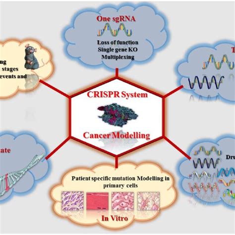 PDF CRISPR Cas A Promising Genetic Engineering Approach In Cancer Research