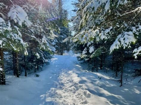 Sleeping Giant Provincial Park In Winter Your Complete Guide