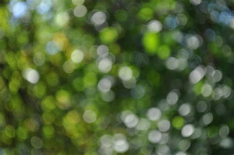 Pin By Jitendra Suthar On B Bokeh Background Bokeh Background