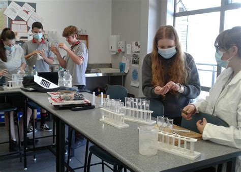 Senior Management Team Renew School