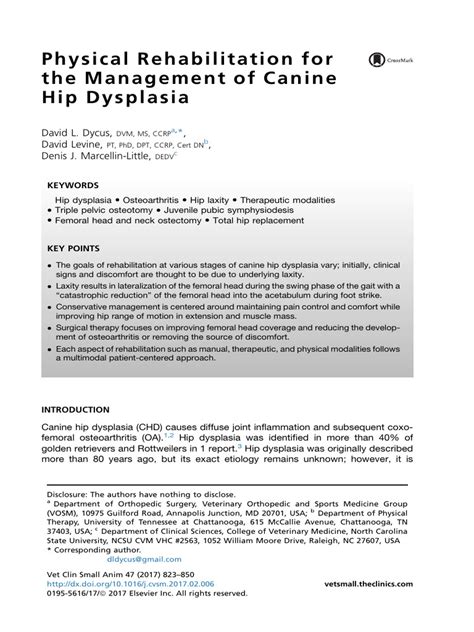 Canine Hip Dysplasia Rehabilitation Guide Pdf Hip Physical Therapy