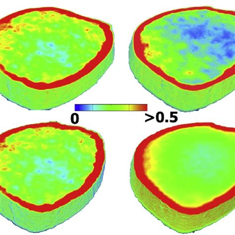 Cross Sections Of Voxel Wise Analyses A Representative Homogenized