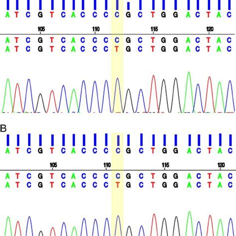 Sanger Sequencing Of Tsc2 Gene From Father A And Mother B