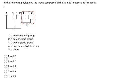 Solved In The Following Phylogeny The Group Composed Of The