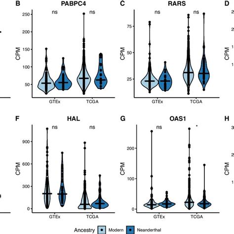 Gene Expression Is Similar In Samples With Neanderthal Introgression