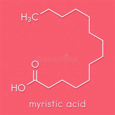 Myristic Tetradecanoic Acid Saturated Fatty Acid Molecule Skeletal Formula Stock Illustration