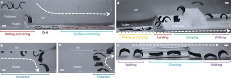 Shape Programmable Soft Millirobots With Multimodal Adaptive Locomotion Physical Intelligence