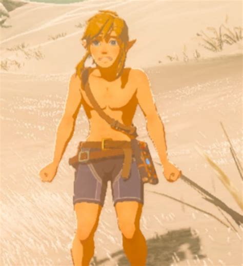 Top 10 Zelda Breath Of The Wild Best Elixir Recipes Gamers Decide