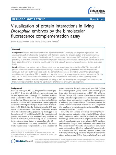 Pdf Visualization Of Protein Interactions In Living Drosophila Embryos By The Bimolecular