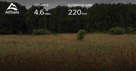Haven Hill Lake Loop Via Blue Trail Michigan Alltrails