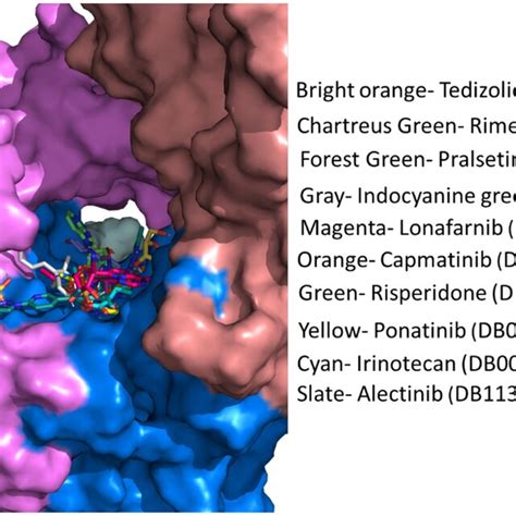 Binding Of Virtual Screen Hit Compounds To Sars Cov 2 Rdrp Ensemble
