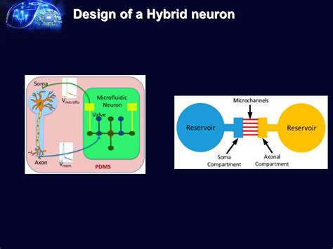 Microfluidics Pptpptx