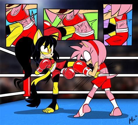 Amy Rose Vs Honey The Cat Kickboxing Comm By Herosmacker On Deviantart
