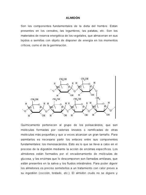 AlmidÓn Pdf Almidón Polisacárido