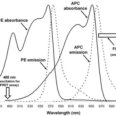 Using Cfp Yfp Fusion Protein Fret And Spectrophotometry To Assay The Download Scientific