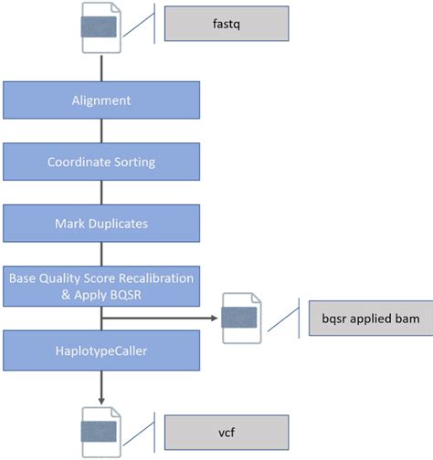 Zettavega Human Genome Analysis System Pezy Computing