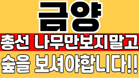 금양 주가전망 총선 끝나고보면 늦습니다 금일 필수확인김프로금양2차전지4695 Youtube