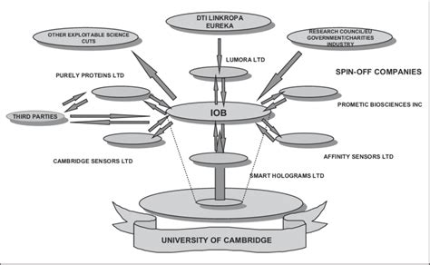 Operational Model For The Institute Of Biotechnology Iob Download Scientific Diagram