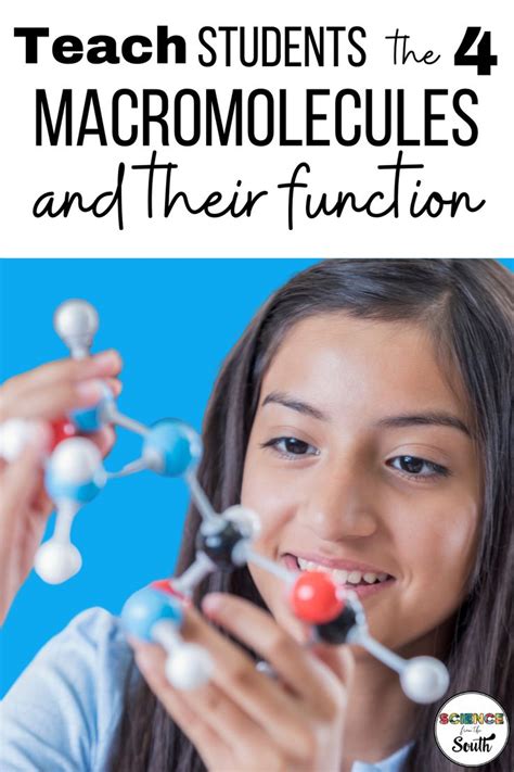 Teach Students The Four Macromolecules And Their Functions In 2025